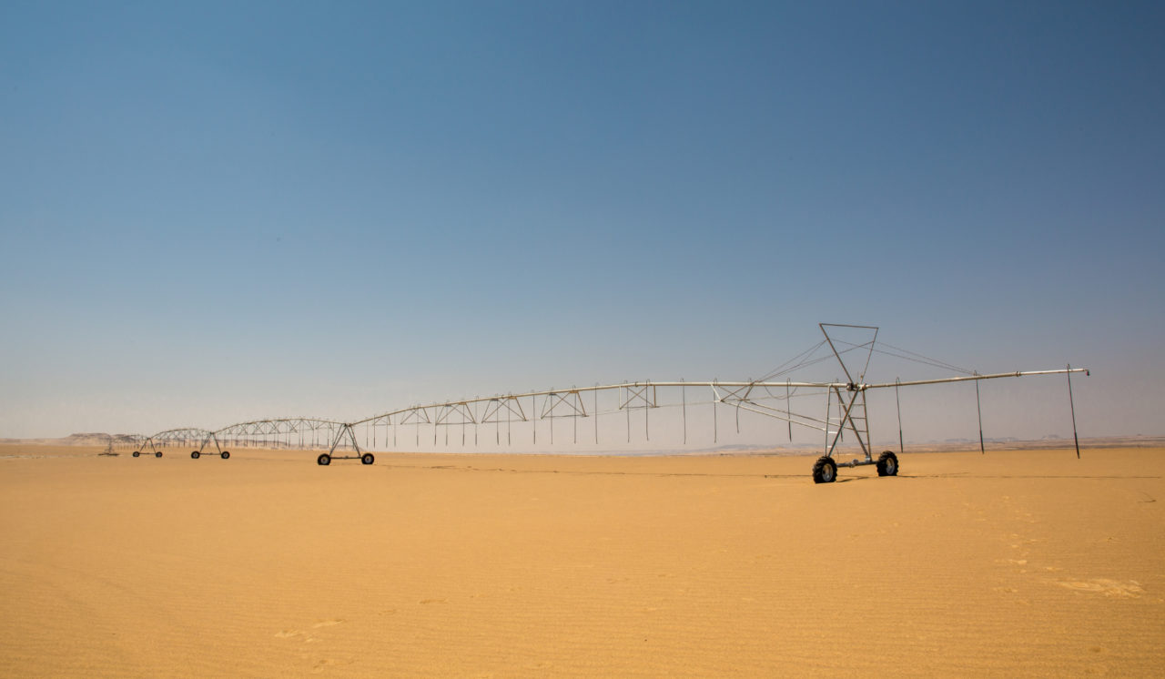 Greening the Desert | Greening the Desert